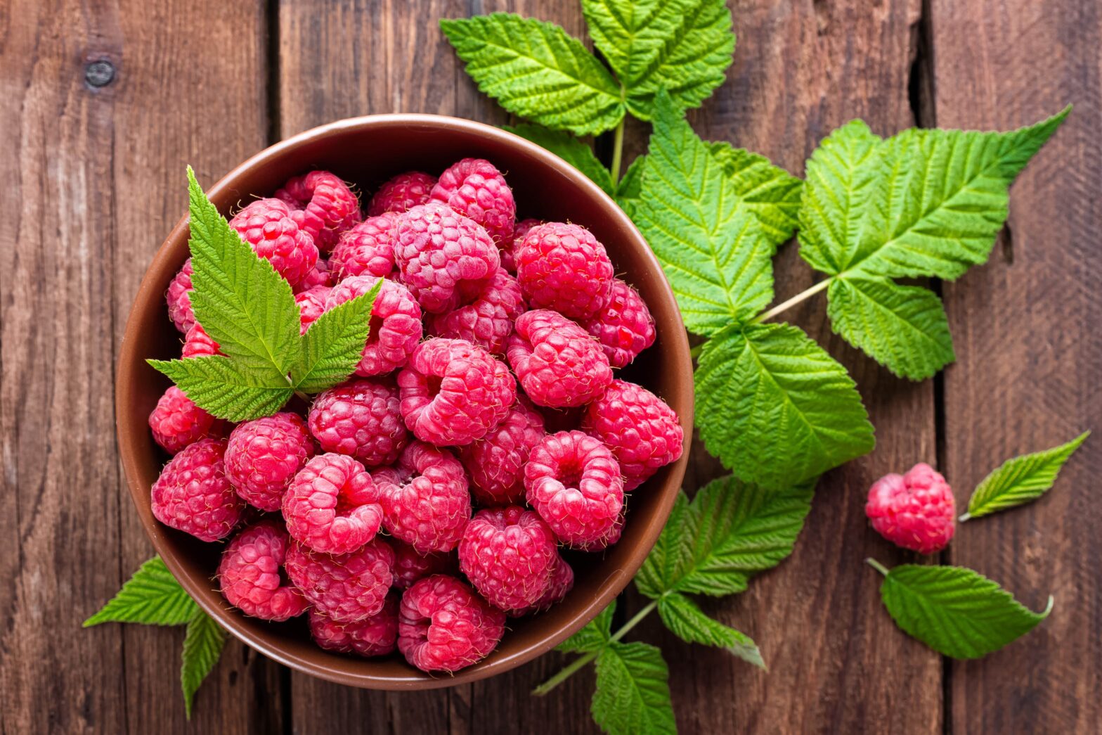 Is It Safe to Eat Wild Raspberries? Answers & Facts – Agri Answers